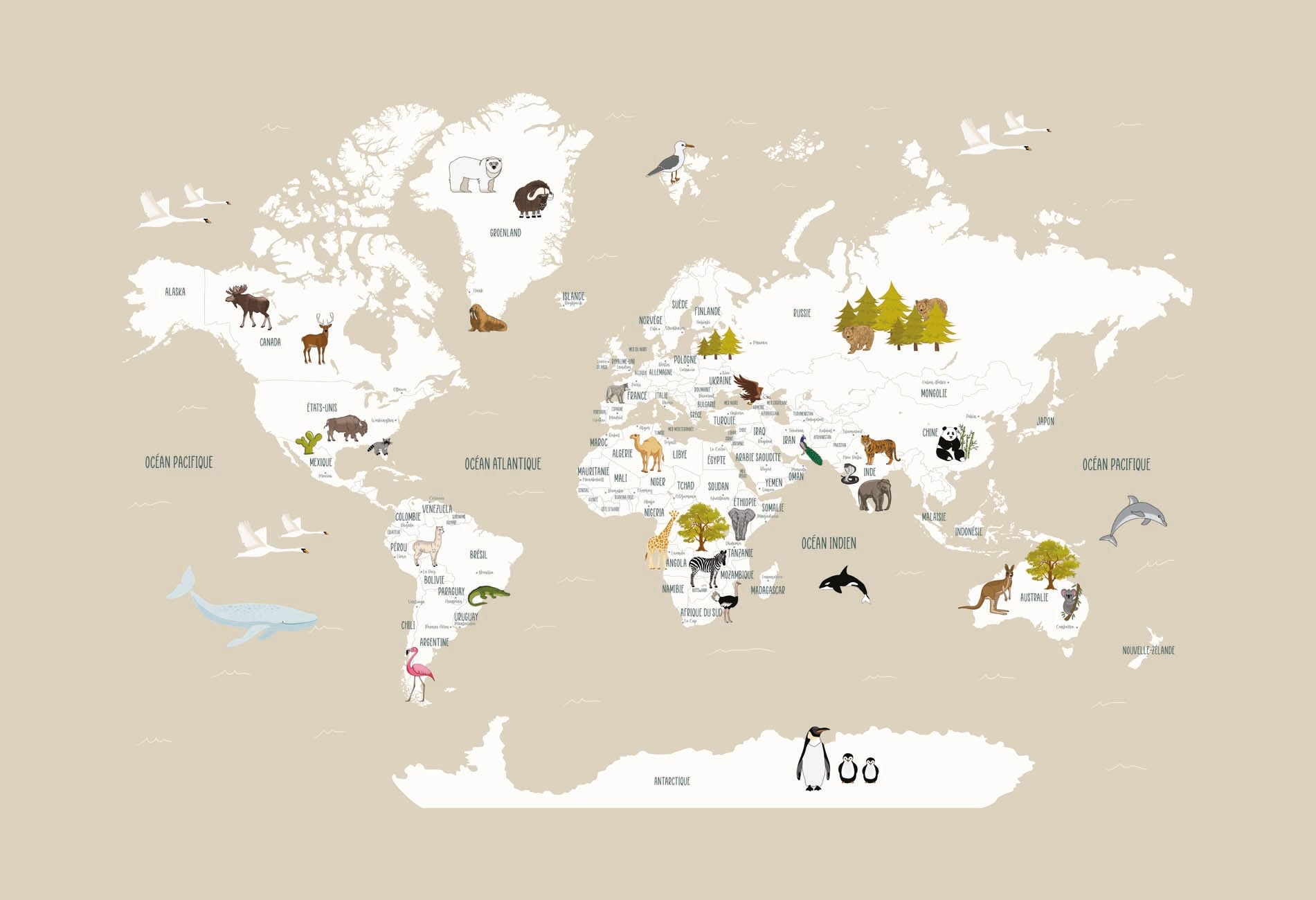 Cartes Du Monde Vierges Petit Carnet De Voyage DIN A5 Avec Pages